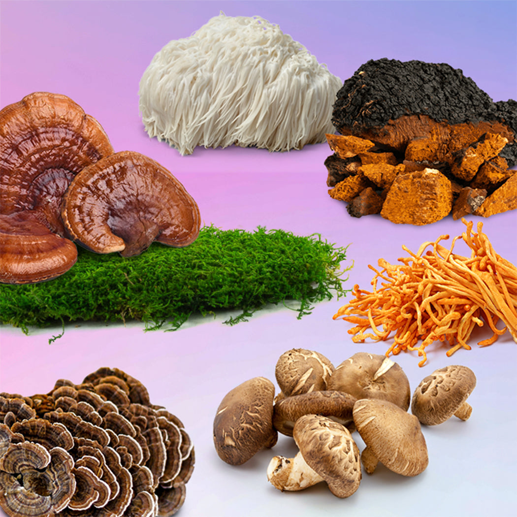 Mushrooms – ENCAPSULATE