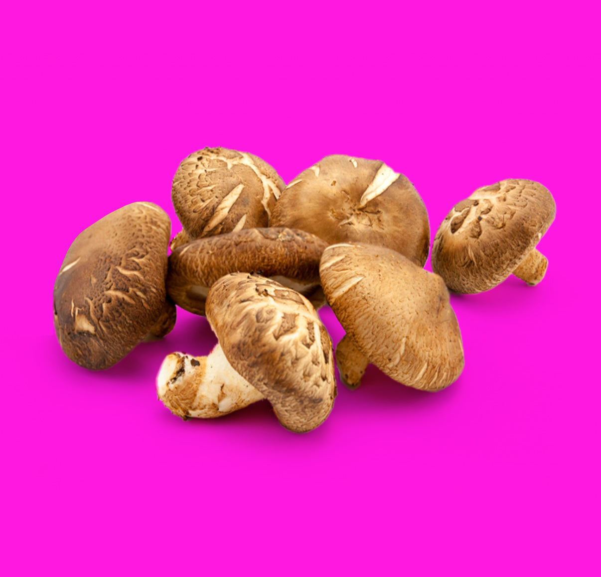 Mushrooms – ENCAPSULATE